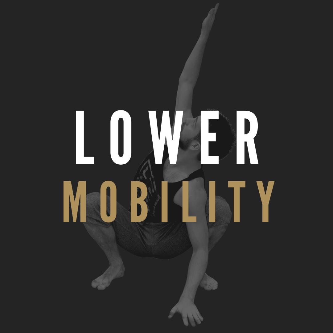 Lower Body Mobility by Luke Jones