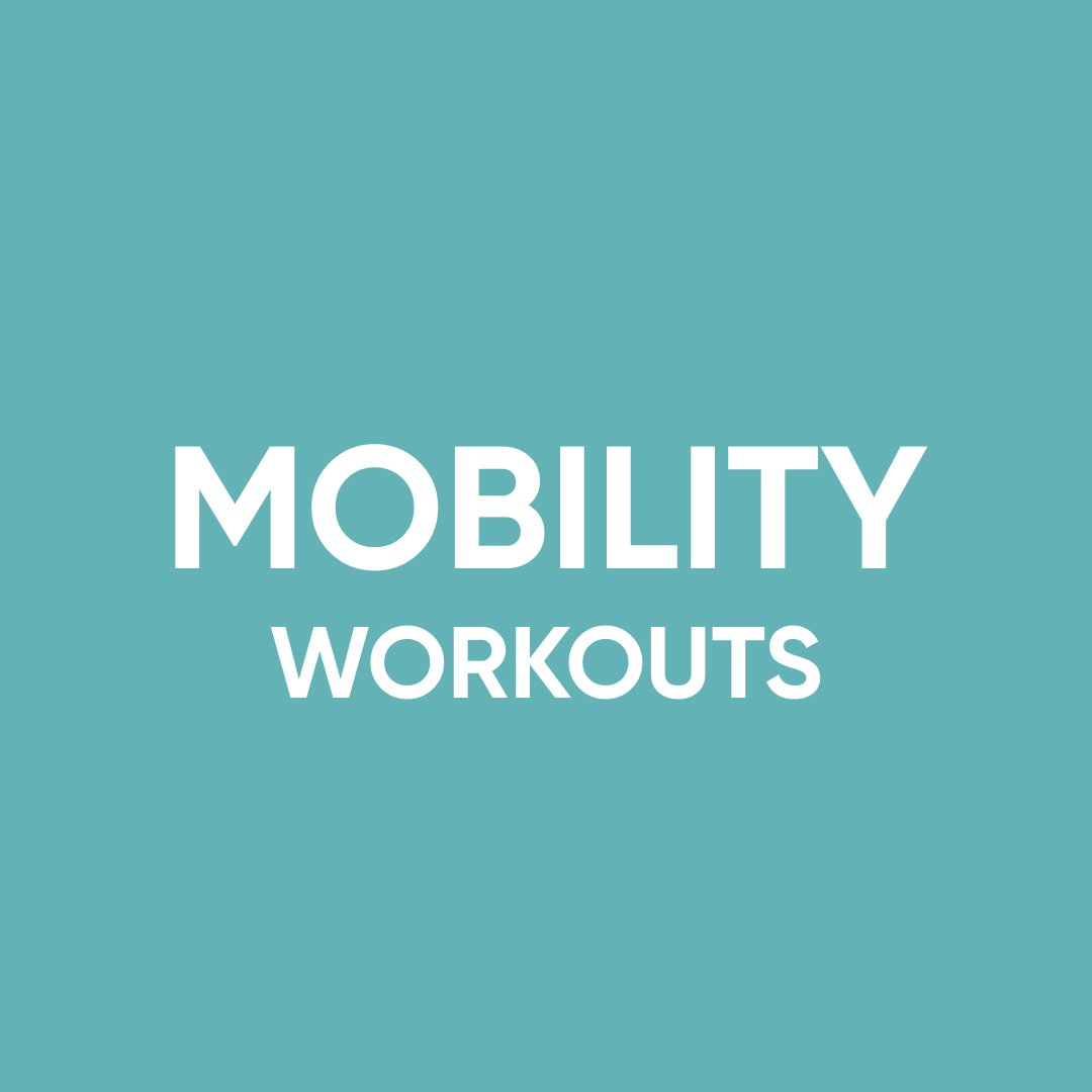 Taylor Mei - Calisthenics, Mobility, and S&C