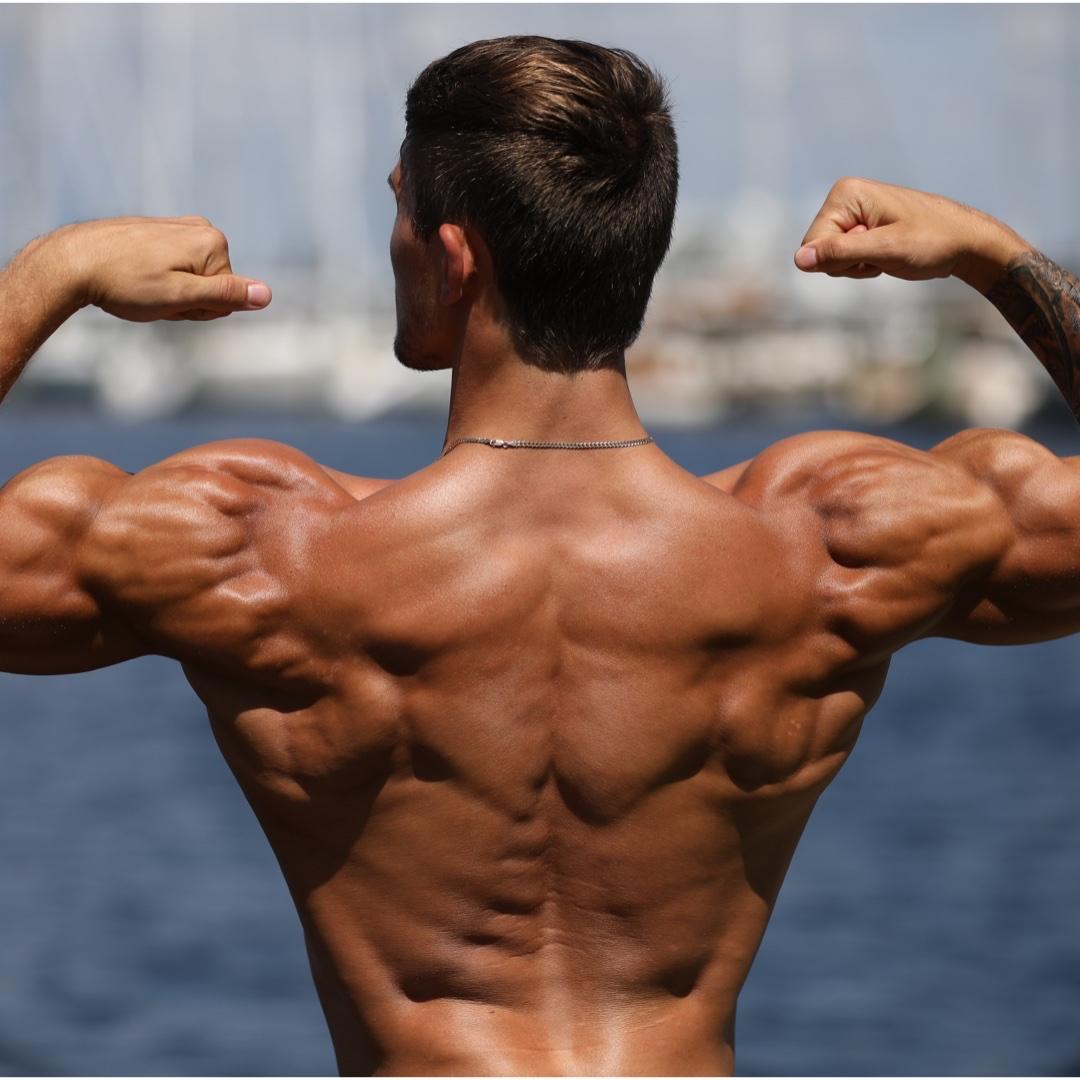 Back by Cole Shaffner