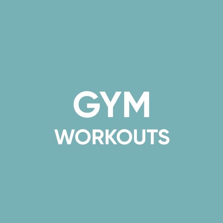 Gym Workouts by Taylor Mei