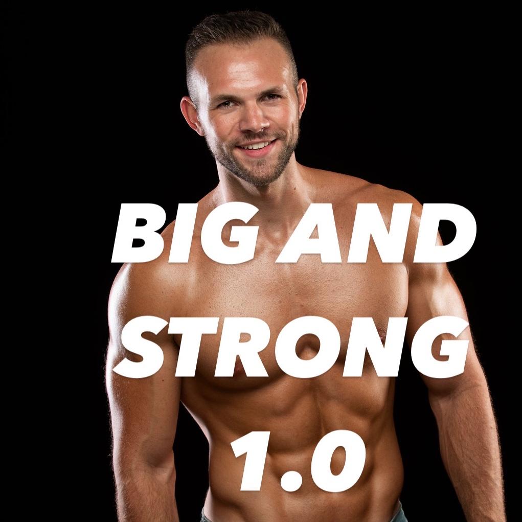 Big and Strong 1.0 by Alan Willinger