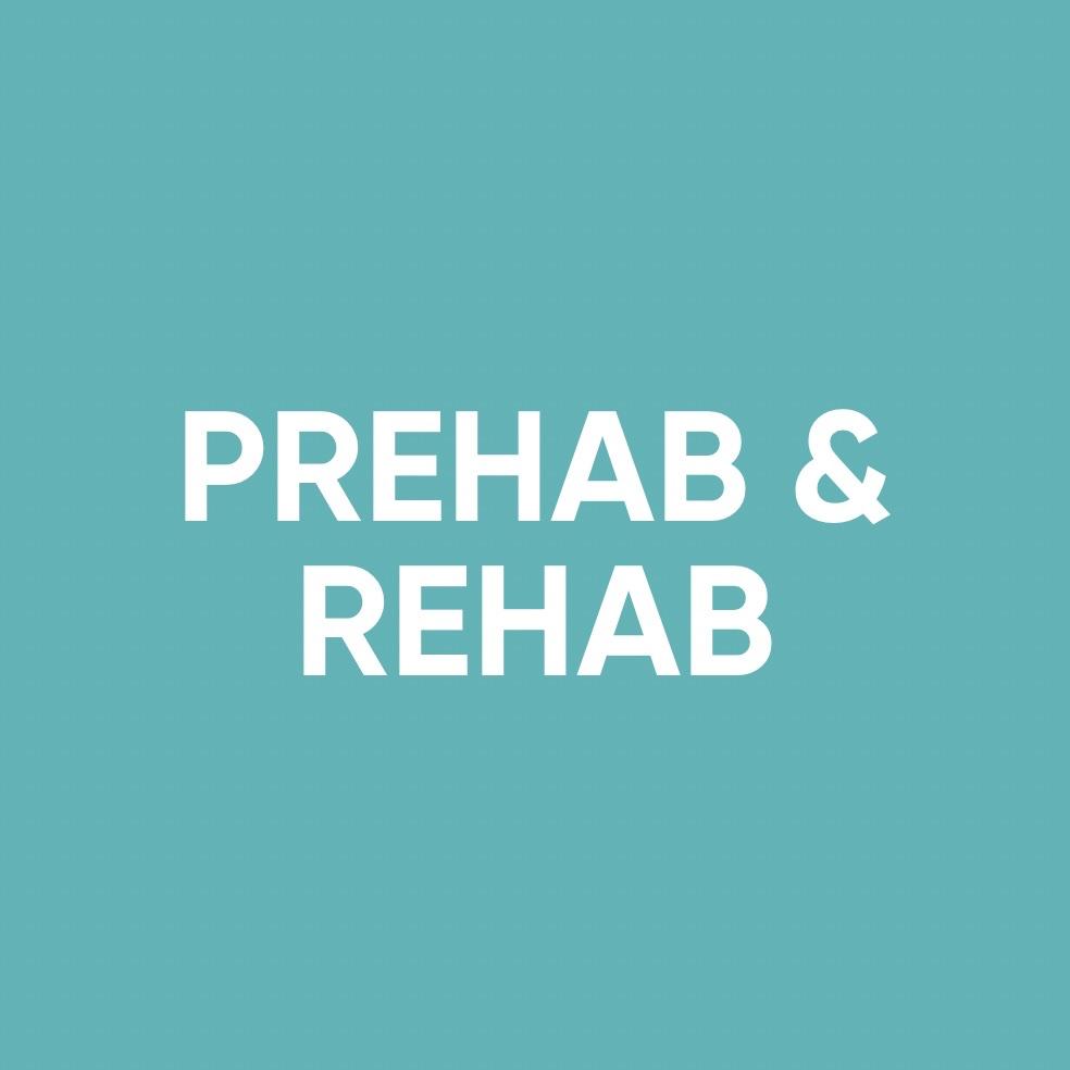 Prehab & Rehab by Taylor Mei