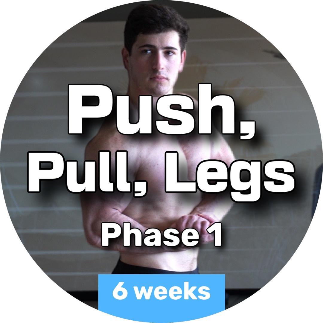 Push Pull Legs Phase 1 by Al K