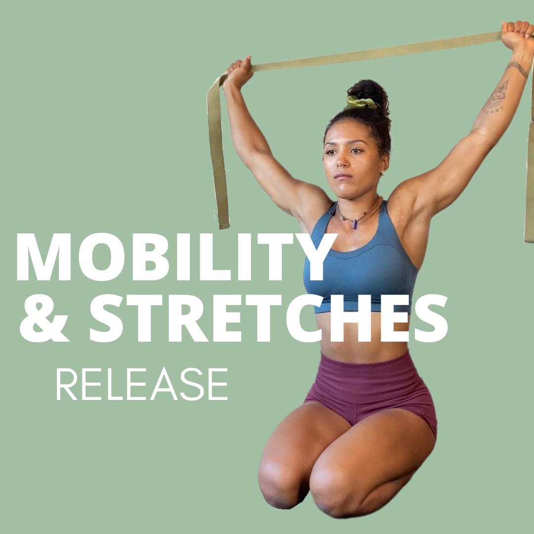Stretches + Mobility by Shaina Fata