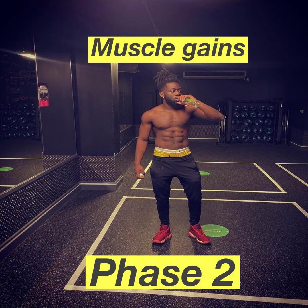 Playbook - Bambi fitness fitness - Muscle building phase2