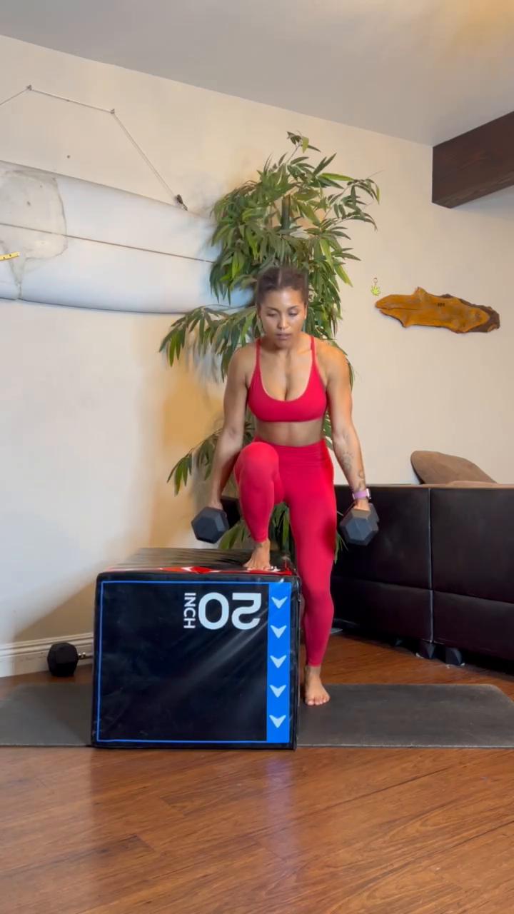 Playbook - Shaina Fata - Standing Abs 🔥 | Dumbbell Circuit