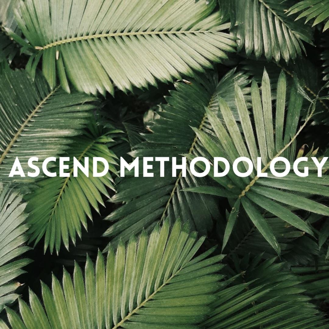 The Method by Kate Reimann