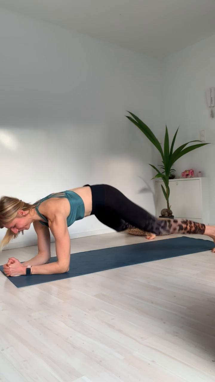 Playbook - Kat Cut Fit - Sliding core