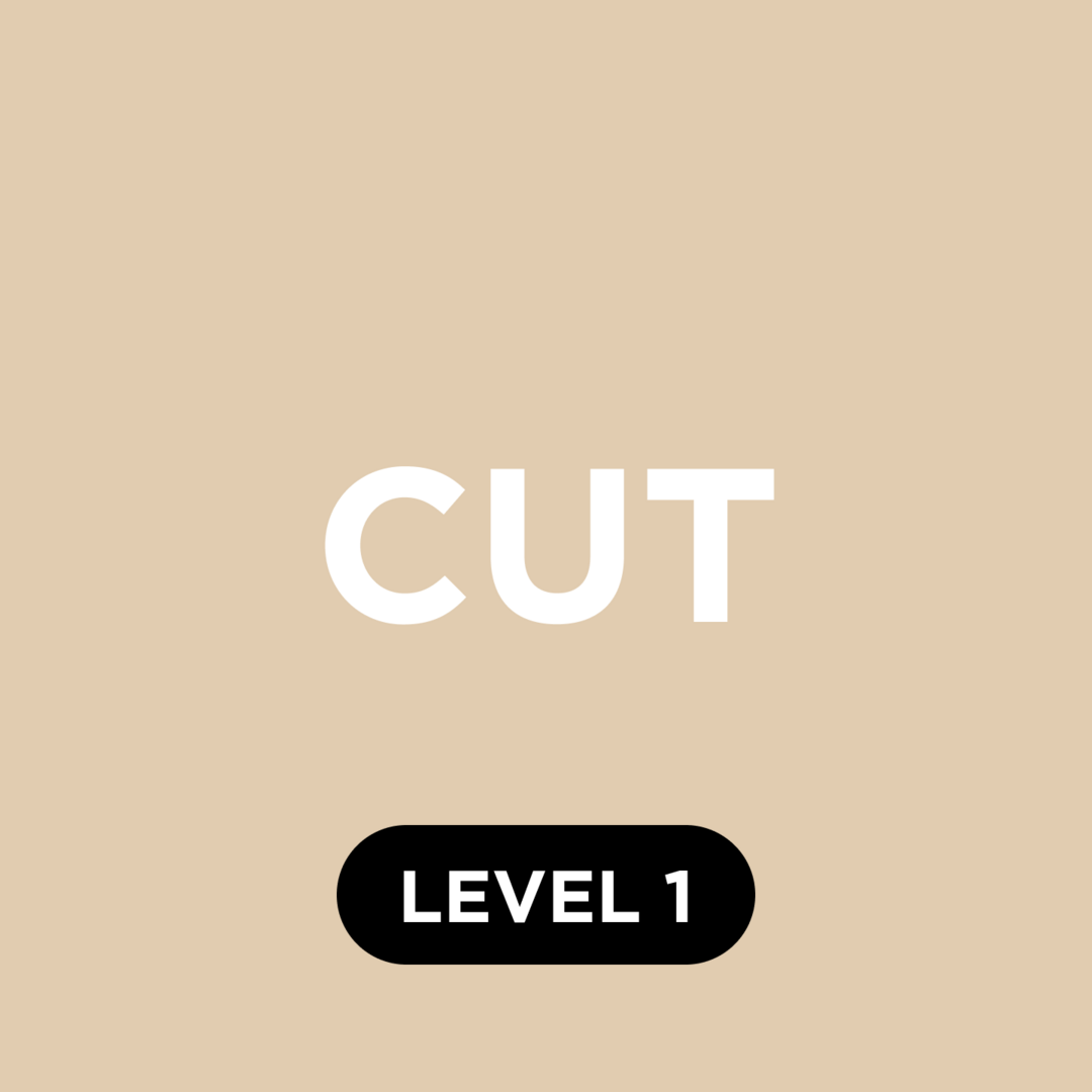 Cut Level 1 by Omar Romero