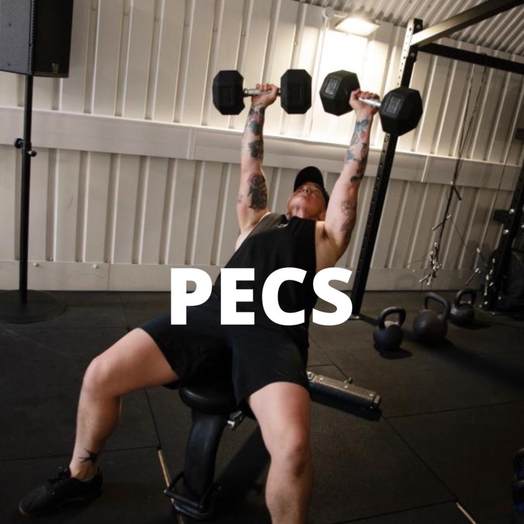 PECS by TRANSMASC TRAINING APP