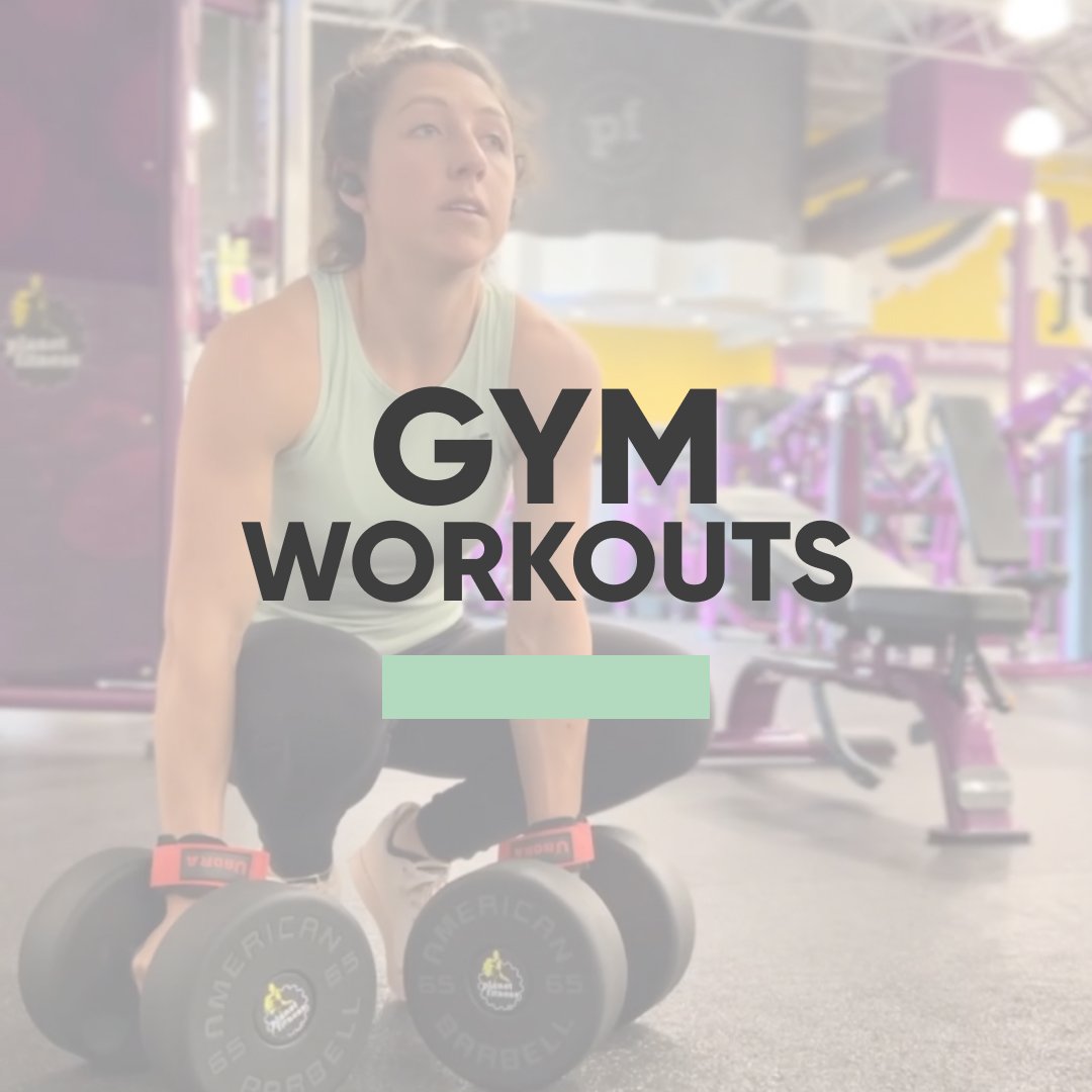 Gym Body 1.0 by Fit with Fausti