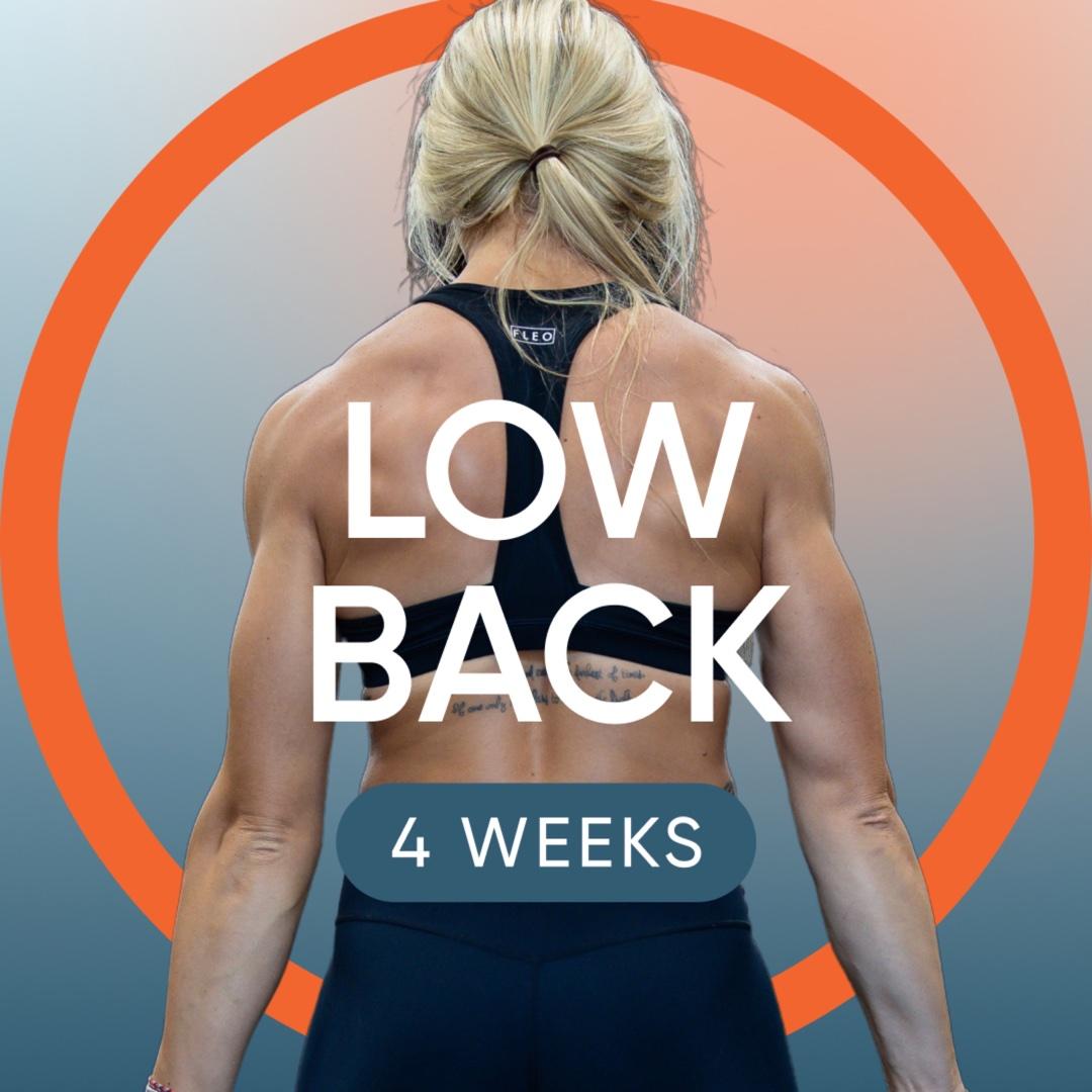 Low Back Program by Dr. Amanda Steinhaus