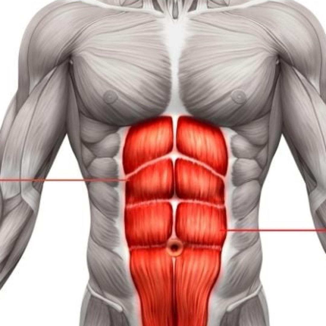 Dion Horton Jr - Fitness Trainer