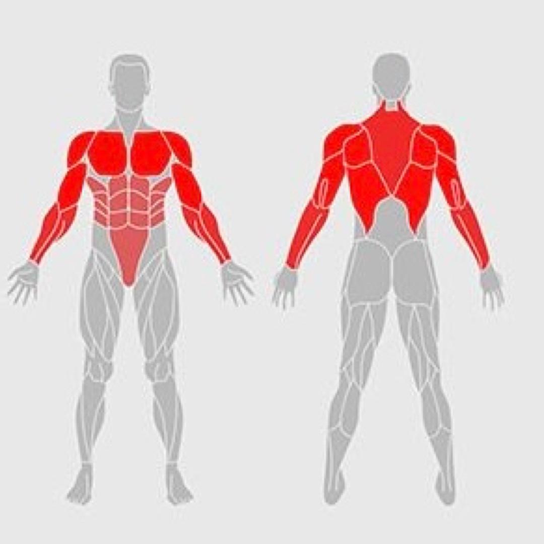 Upper Body by That Fit Contractor