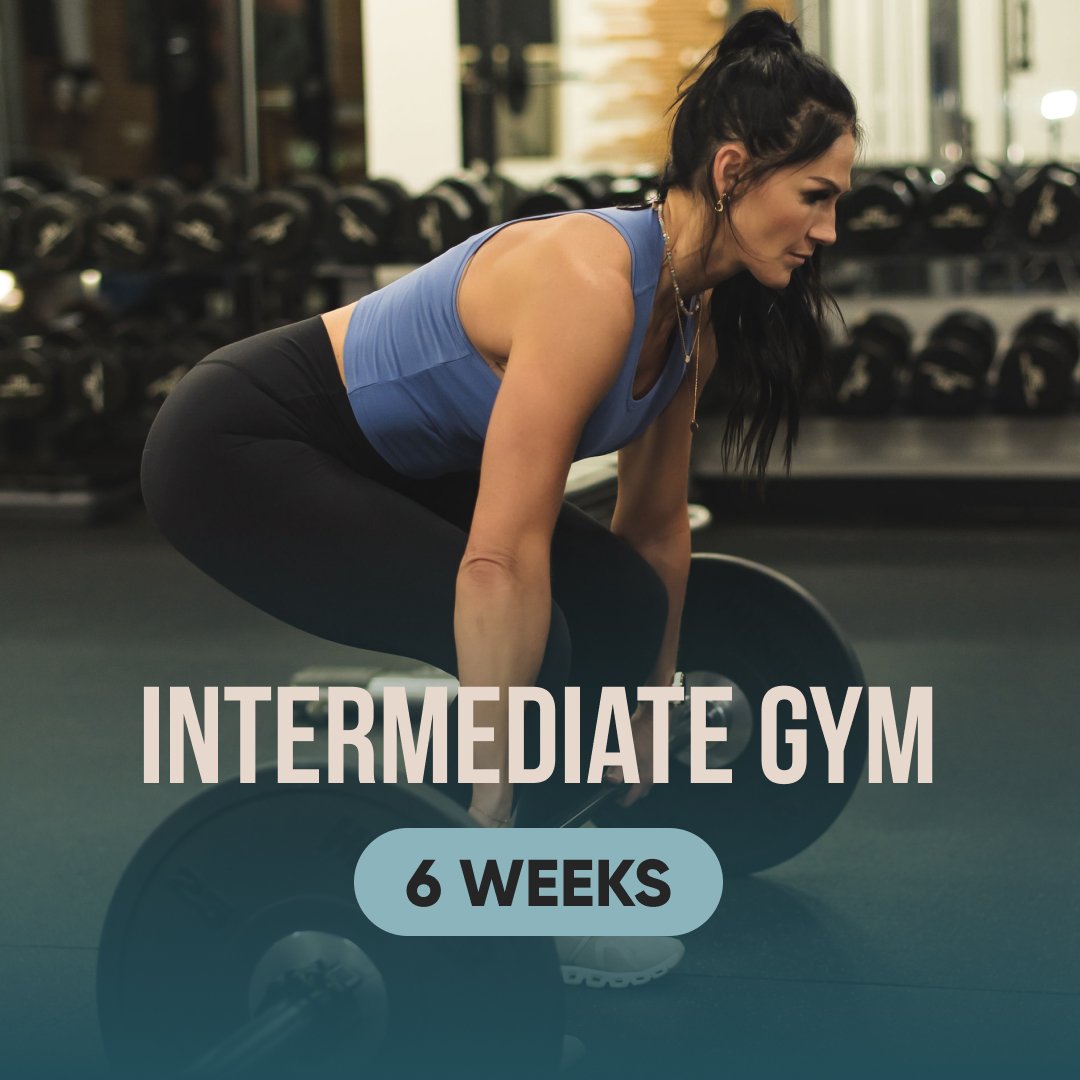 Intermediate Gym by Camille Barnum