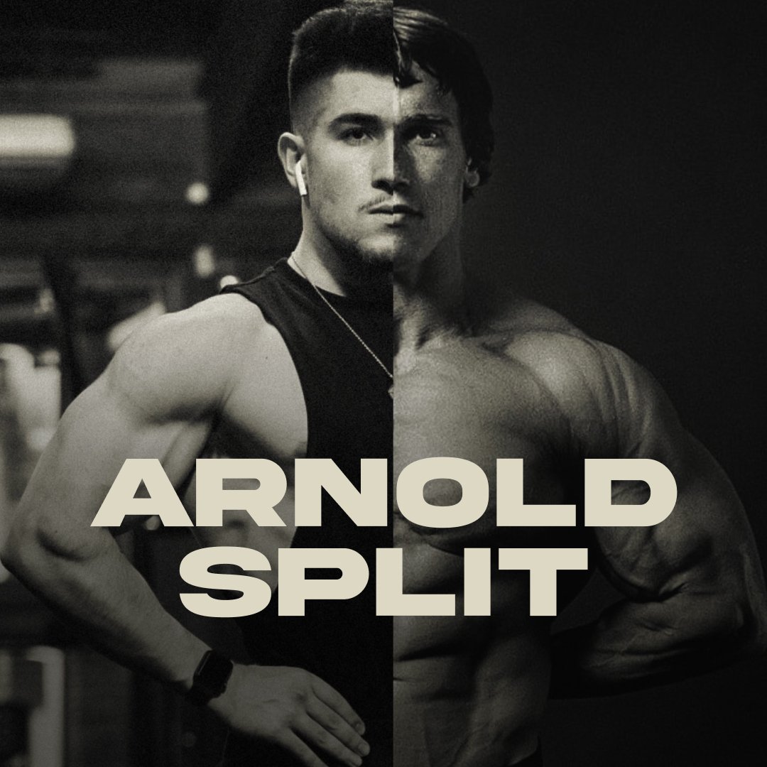 ARNOLD SPLIT by MVPCL Fitness