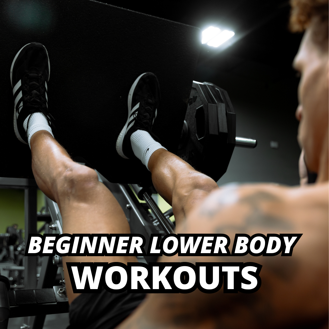 Beginner Lower Body by Visionary Goals Fitness