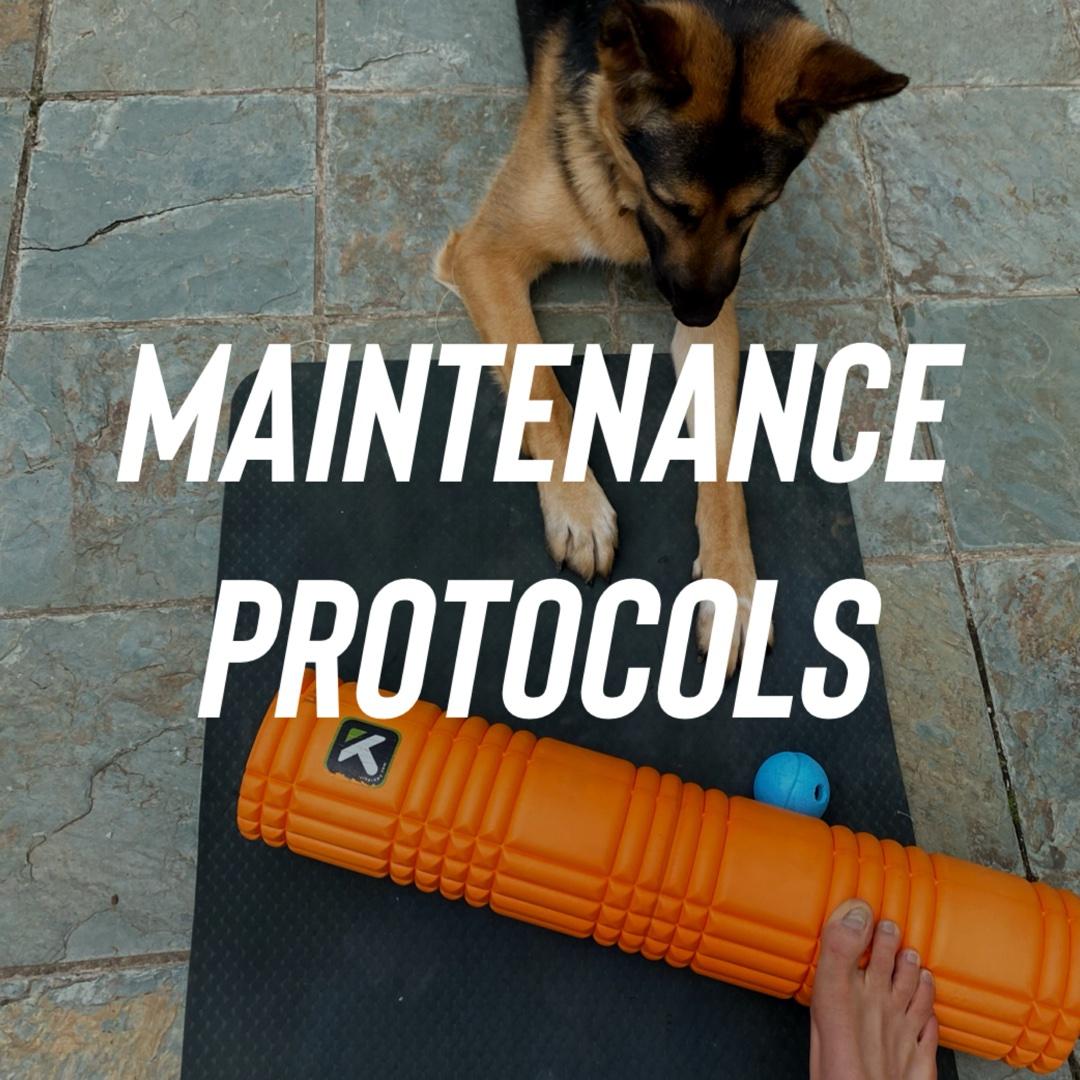 Maintenance Protocols by Charlie Binder Rios