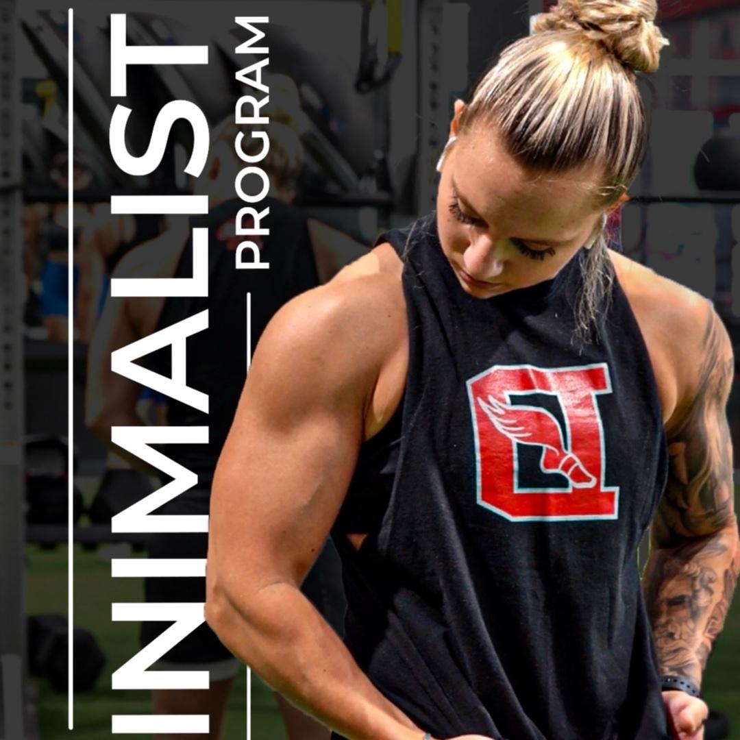 The Minimalist Program by Ellen Nieman