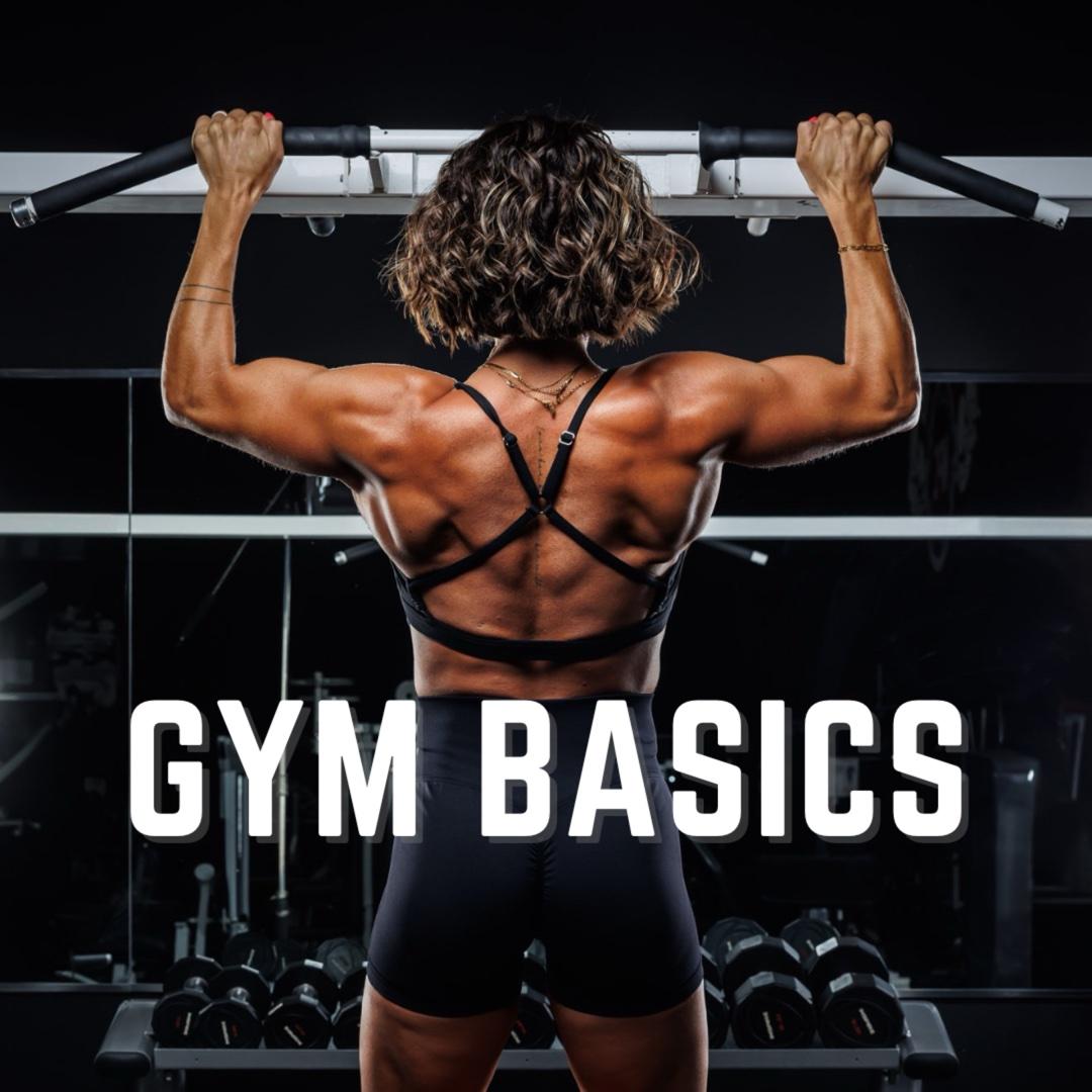 Gym Basics by Amy Williams