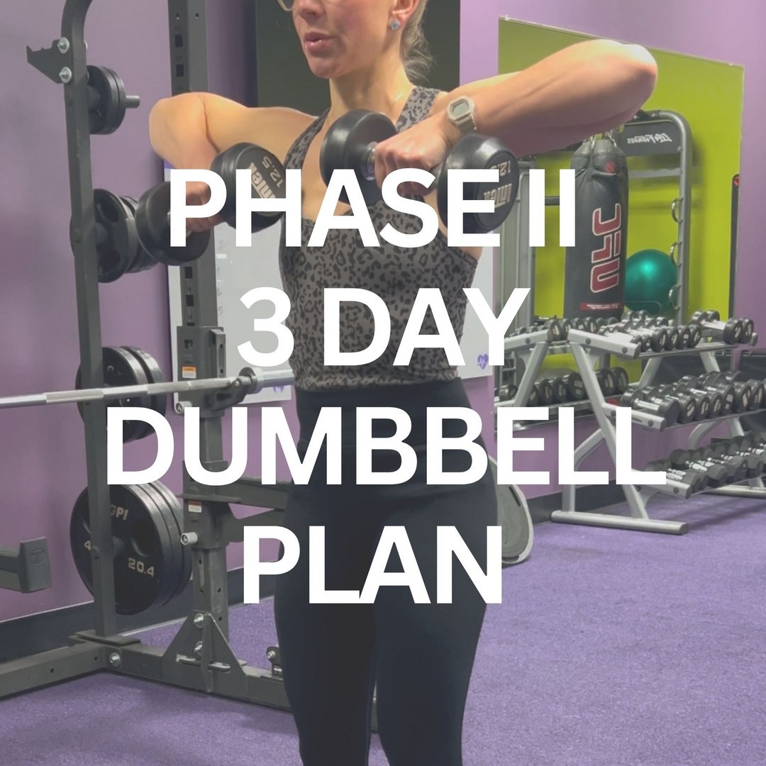 Phase II: 3-Day Dumbbell Only Plan by Laura Senna