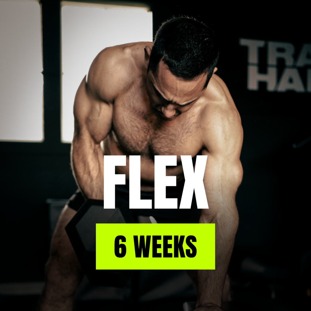 TRAIN HARD App - TRAIN. PROTECT. PROVIDE.