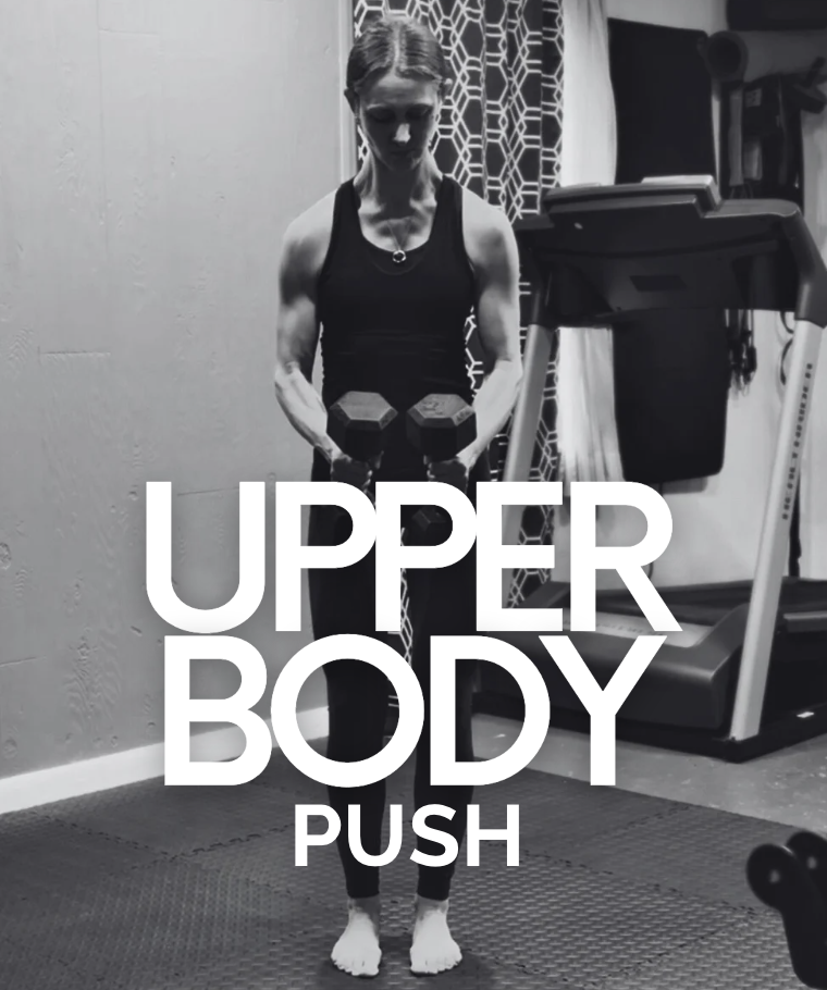 UPPER BODY [ PUSH ] by Dani Maddock