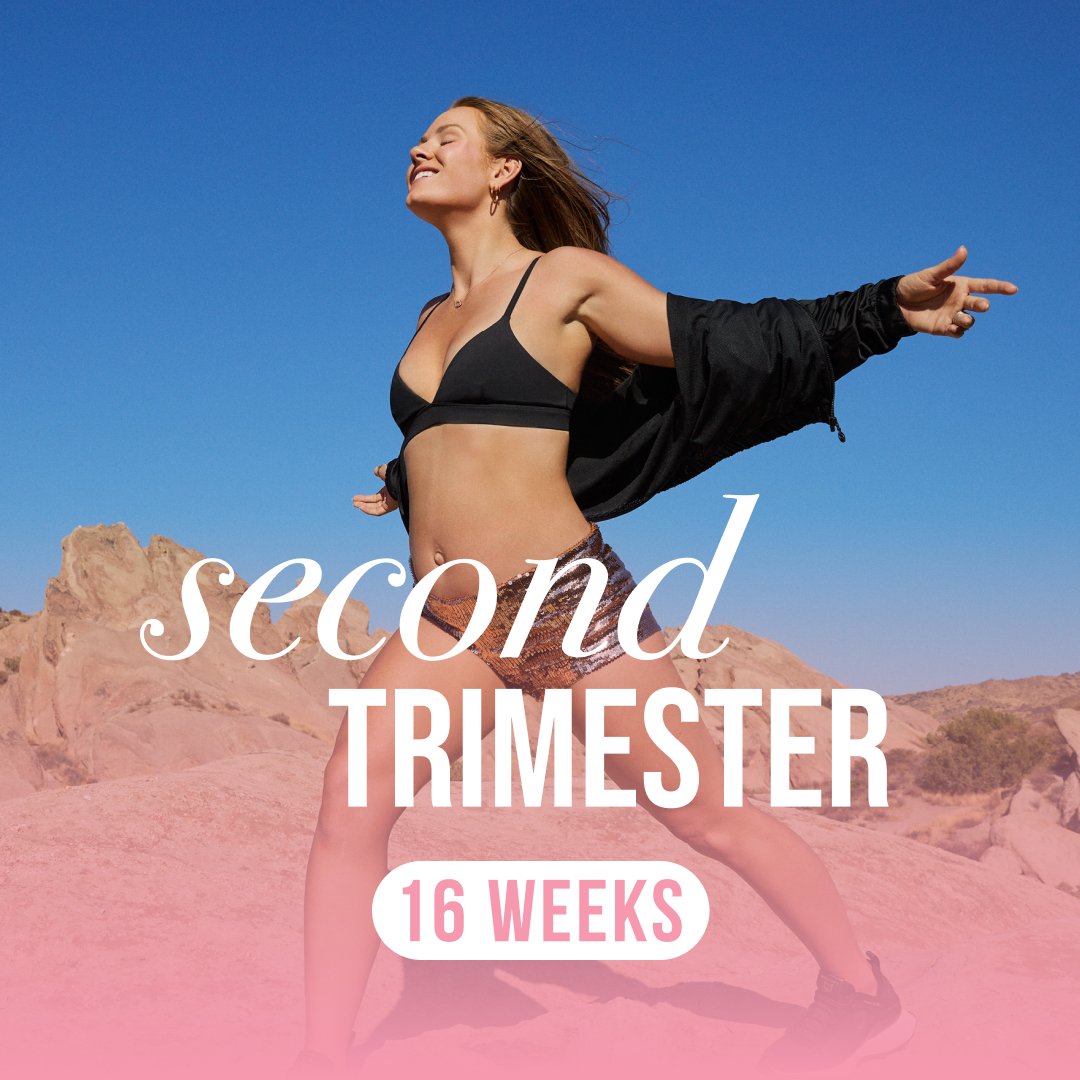 Second Trimester by Hannah Bower