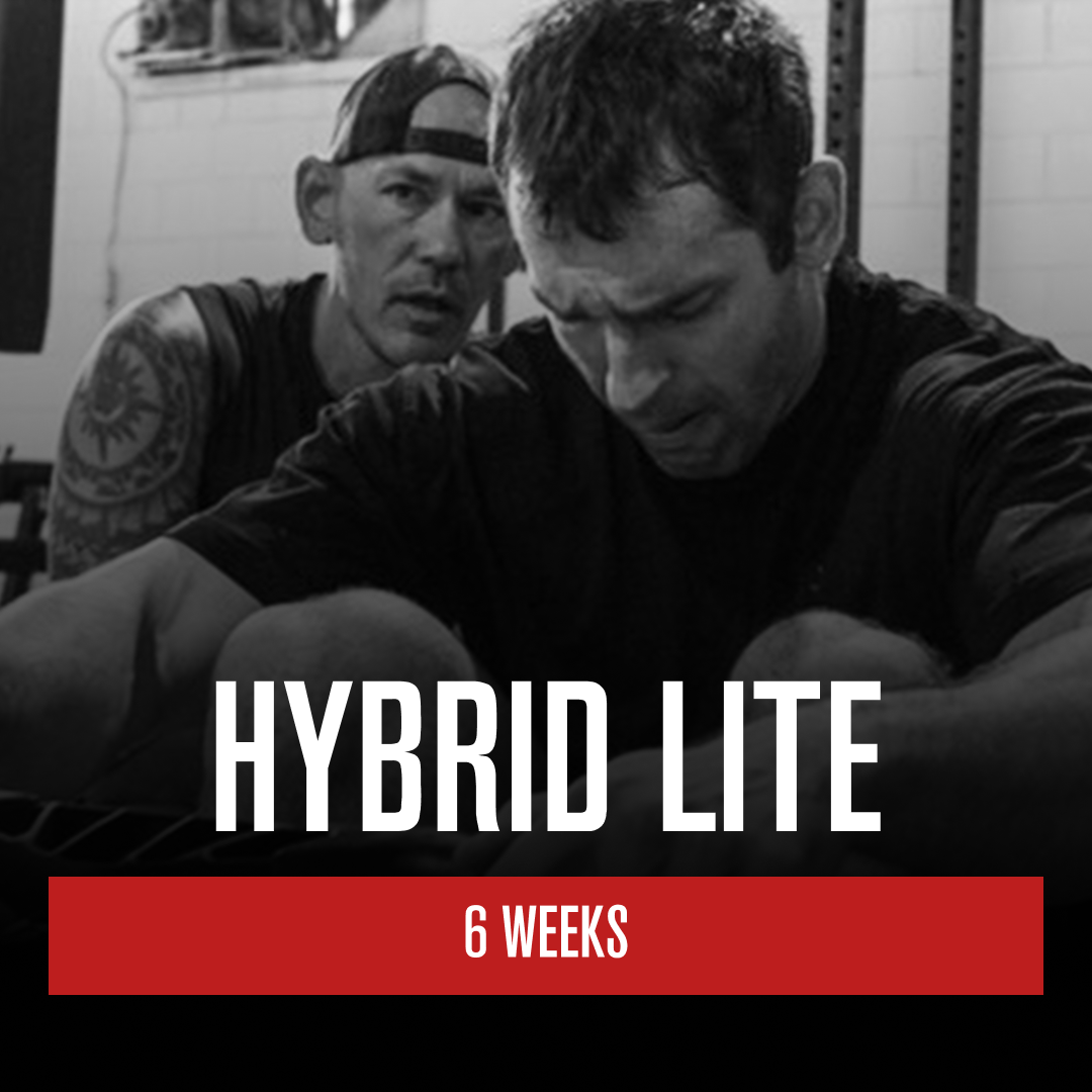 HYBRID Lite by Tim Ammons