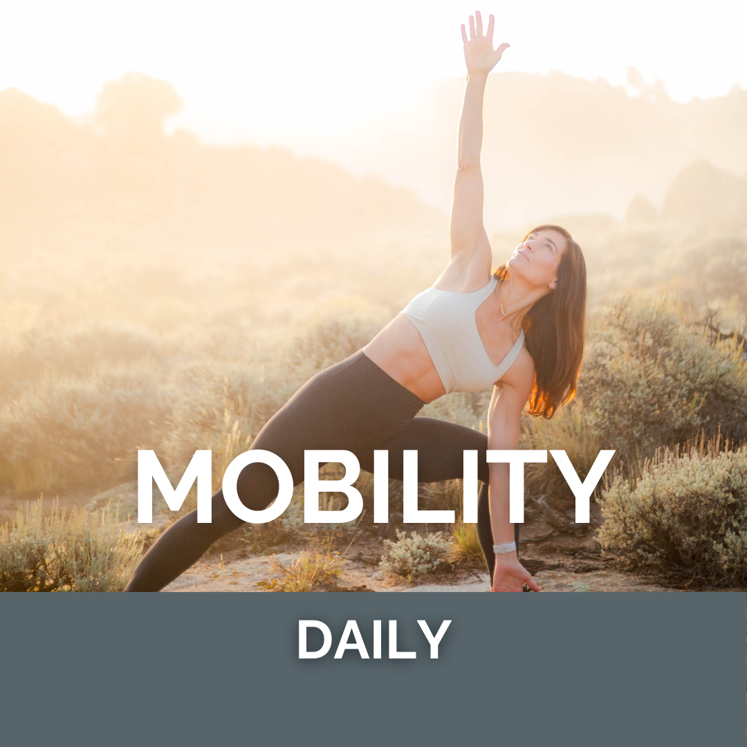 Daily Mobility by Amy Donohue