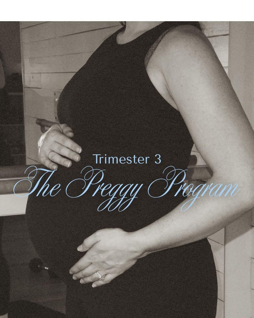 The Preggy Program - 3rd Trimester by Albany Rae