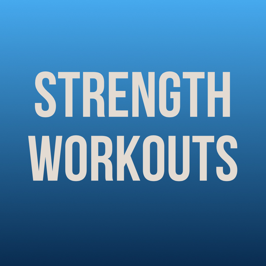Strength Workouts by Michelle Briehler